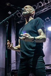 Michael Sadler (Saga)