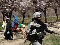 Afghanistan Under Taliban Eyes